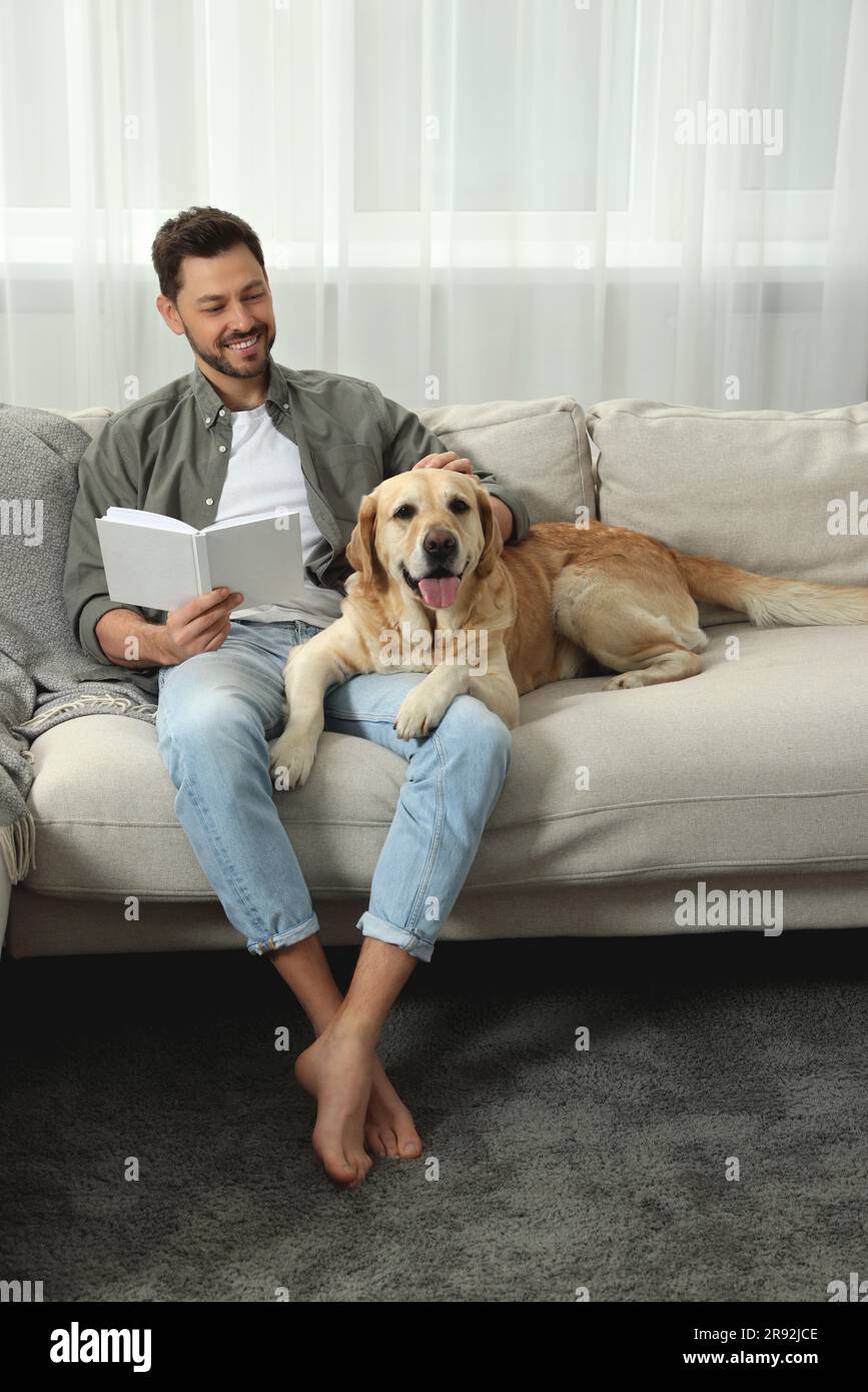 Labrador reading hi-res stock photography and images - Alamy