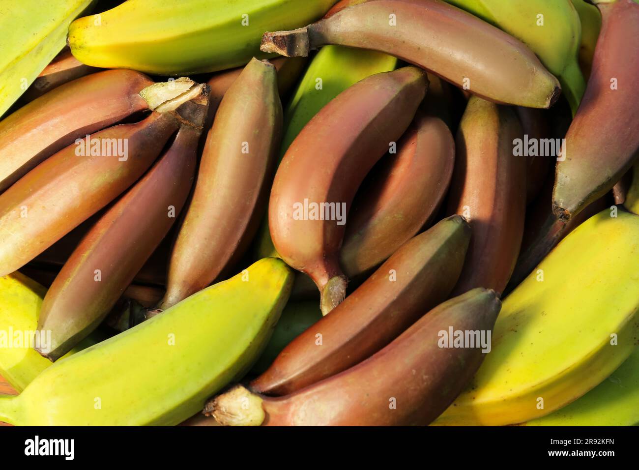 Different types of bananas as background, top view Stock Photo - Alamy