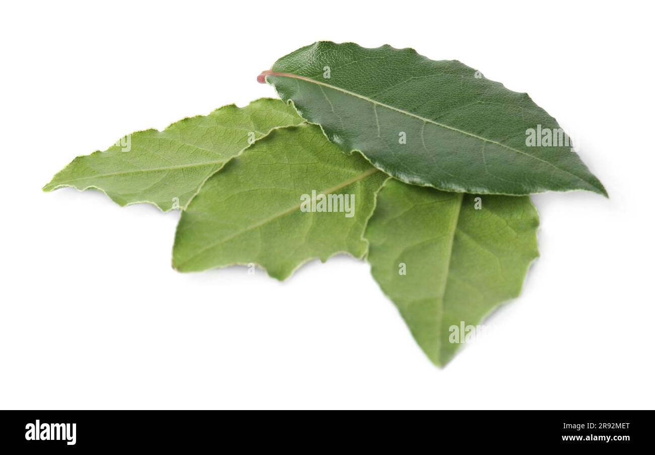Bunch fresh bay leaves isolated hi-res stock photography and images - Alamy
