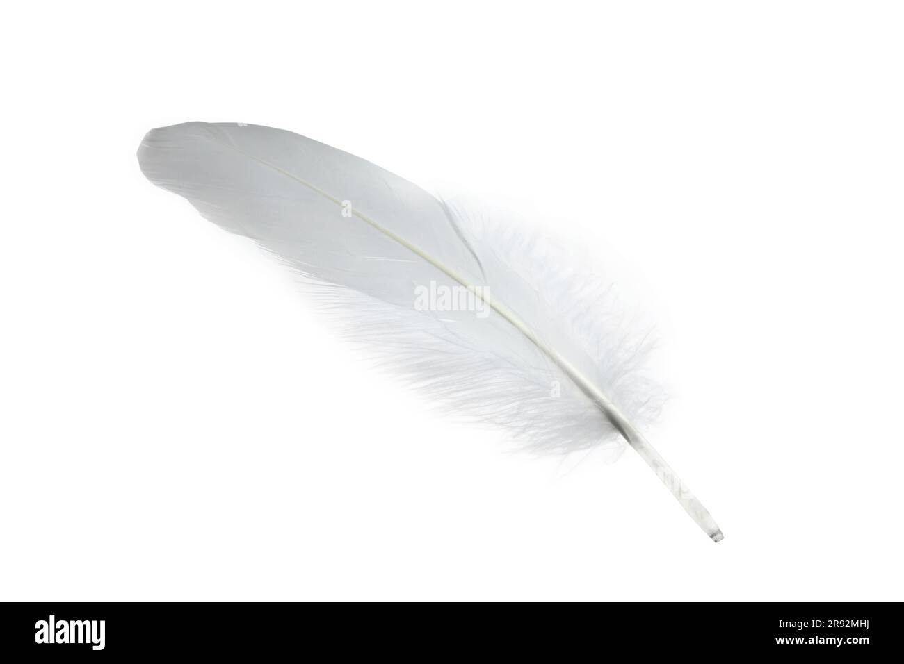Beautiful white bird feather isolated on white Stock Photo - Alamy