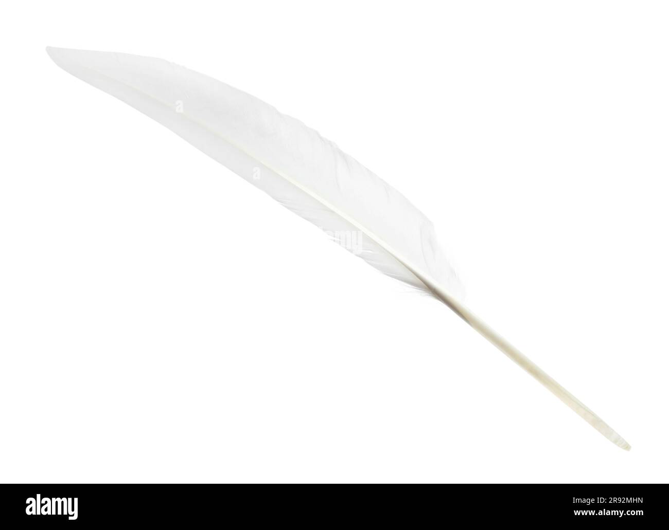 Beautiful white bird feather isolated on white Stock Photo - Alamy