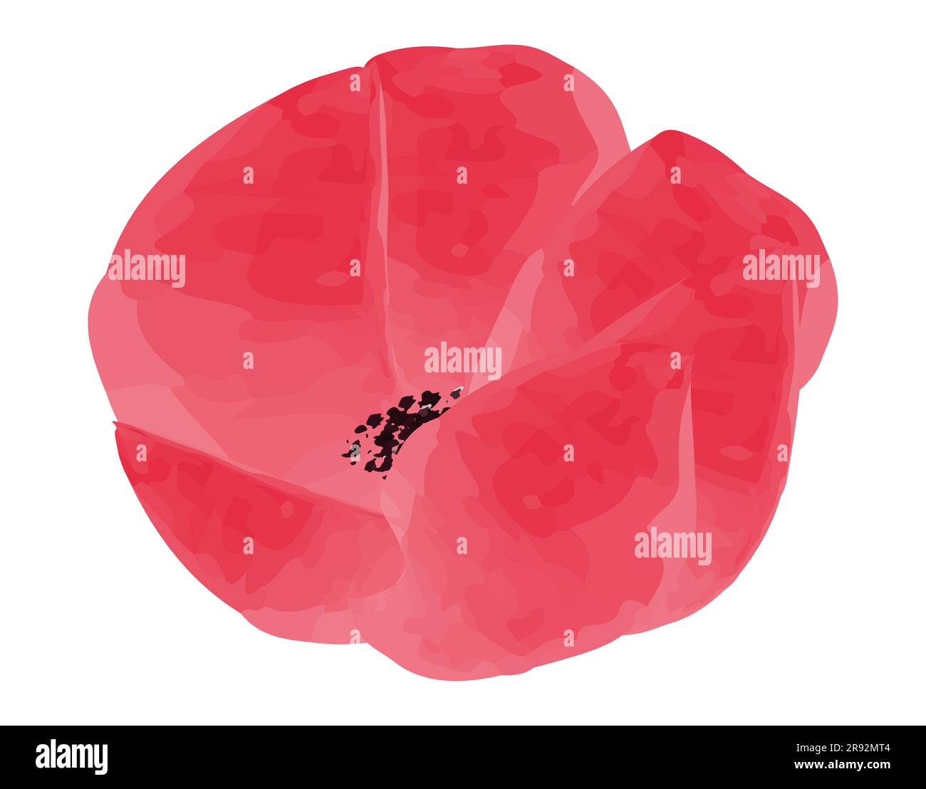 Poppy flower head Watercolor design element Vector illustration for ...