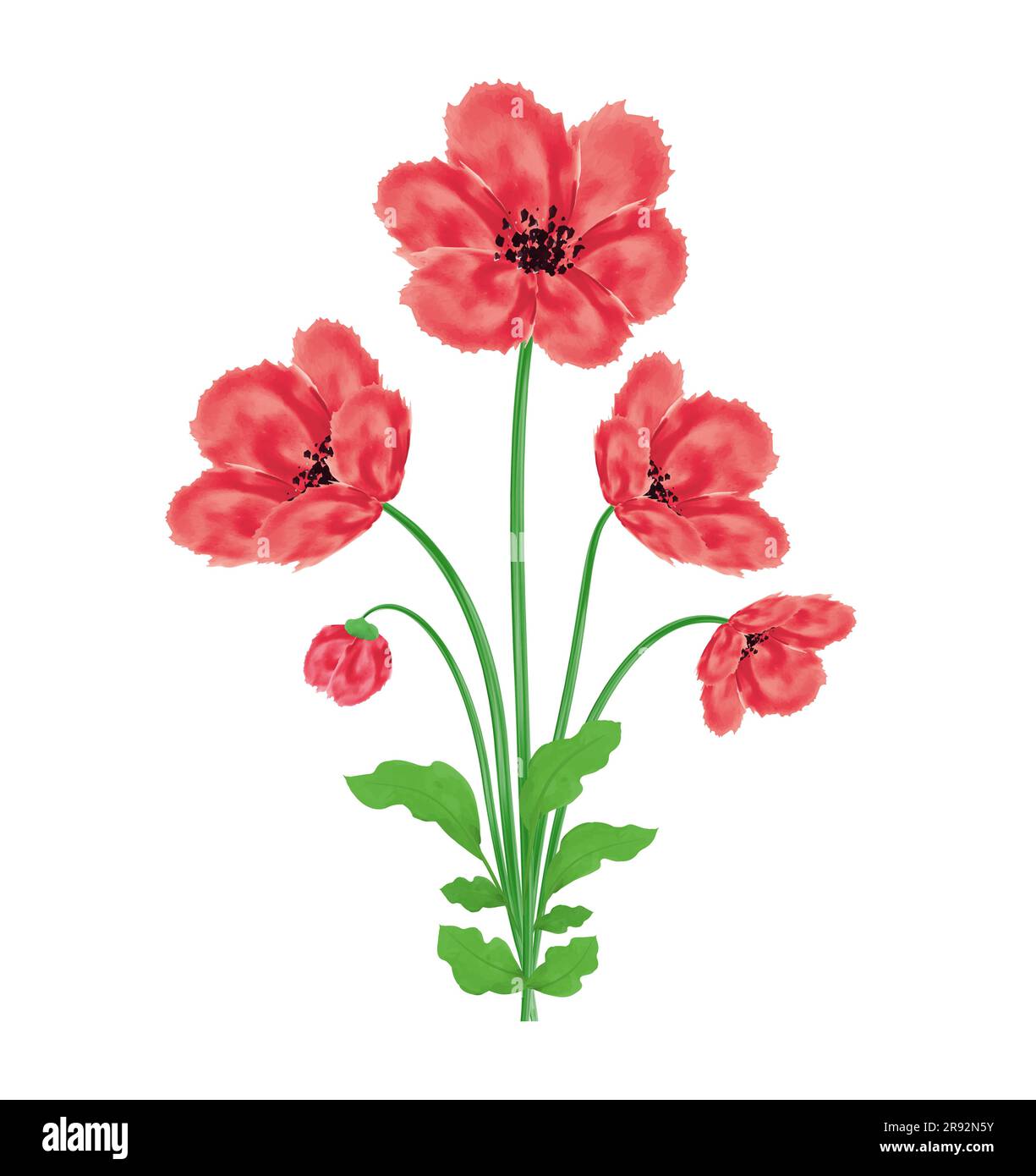 Poppy flowers bouquet Watercolor design element Vector illustration for ...