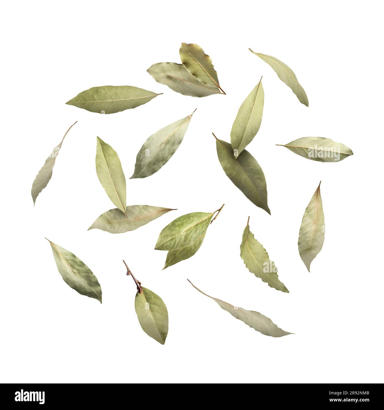Dry bay leaves falling on white background Stock Photo - Alamy