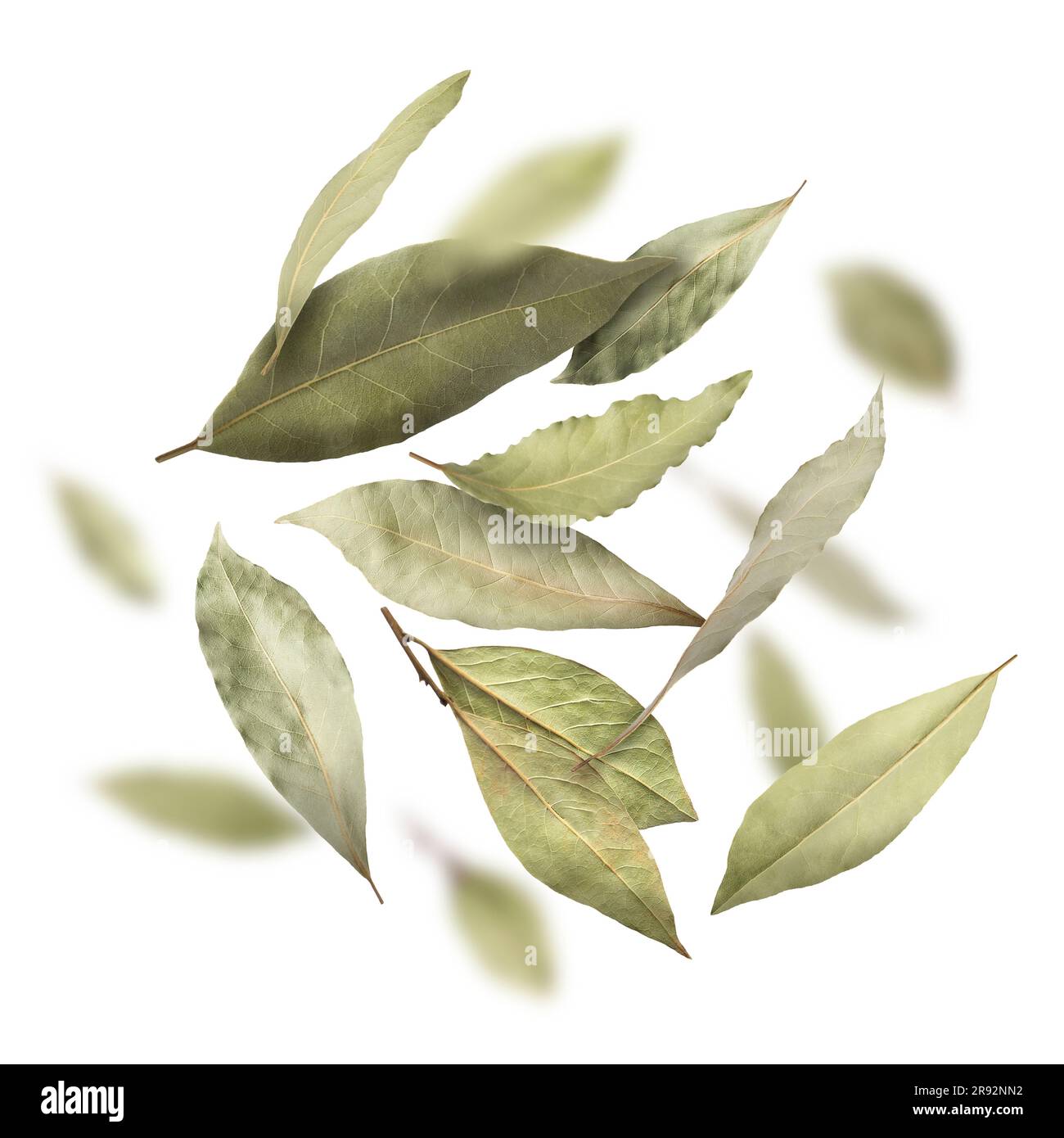 Dry bay leaves falling on white background Stock Photo - Alamy