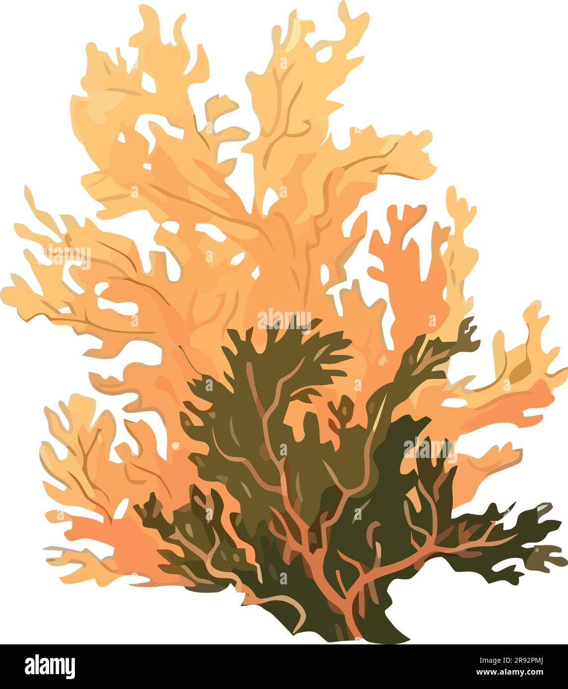 Seaweed burning Stock Vector Images - Alamy