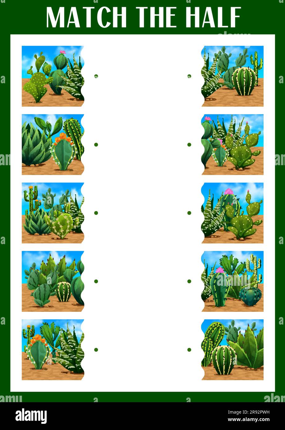 Match the half of mexican prickly cactus succulents. Objects parts ...
