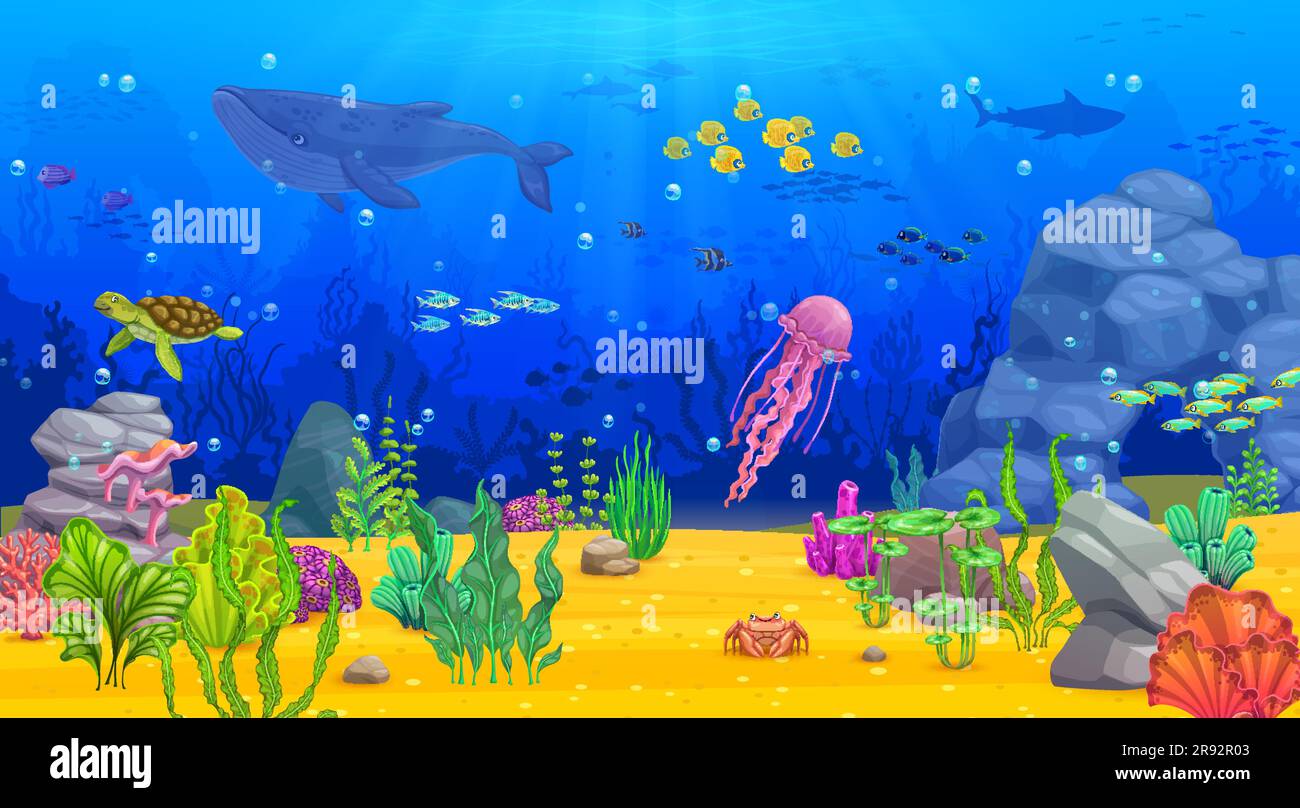 Cartoon underwater landscape with whale, fish shoal, seaweeds and ...