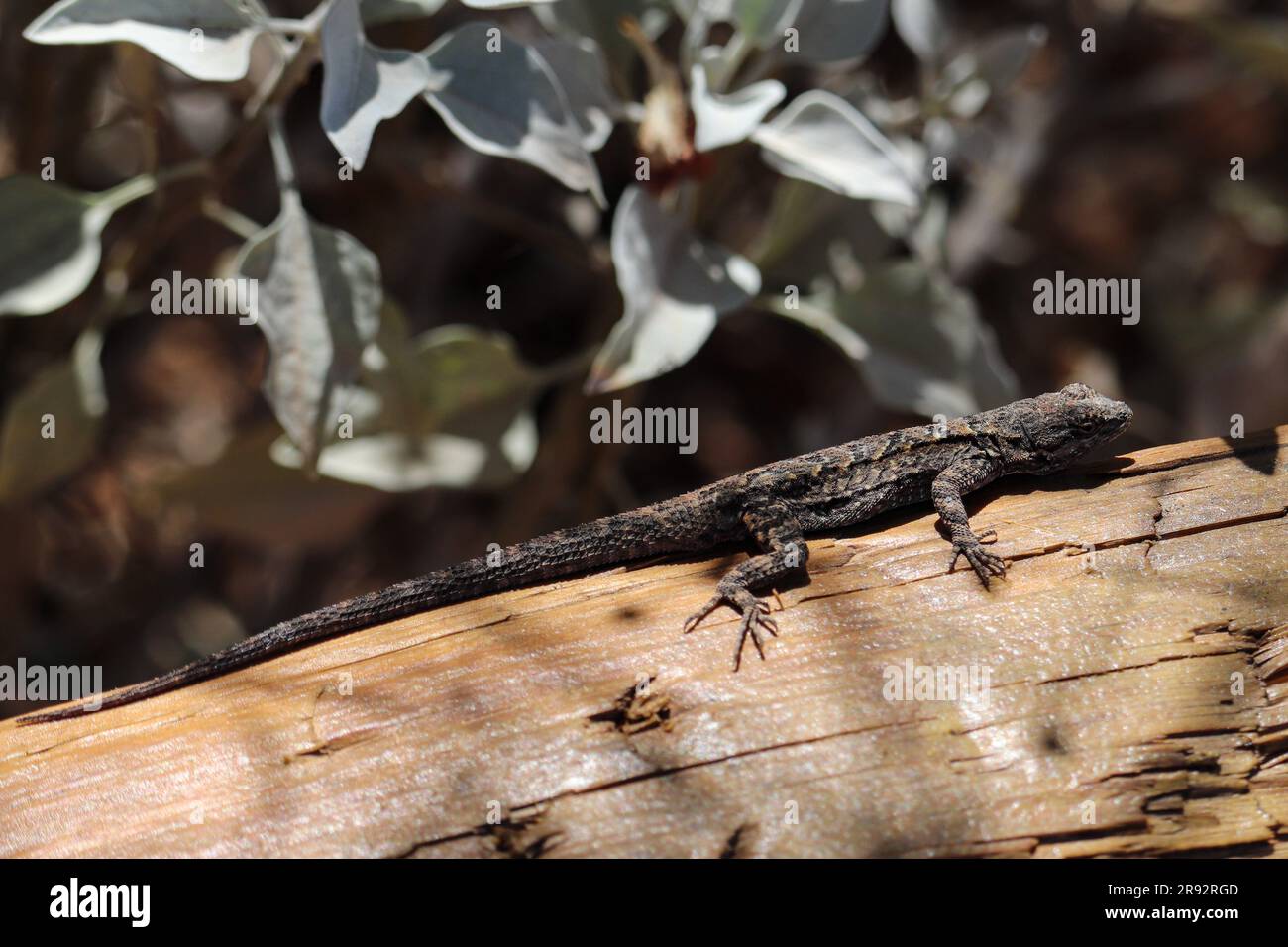 Muted colors urban hi-res stock photography and images - Alamy
