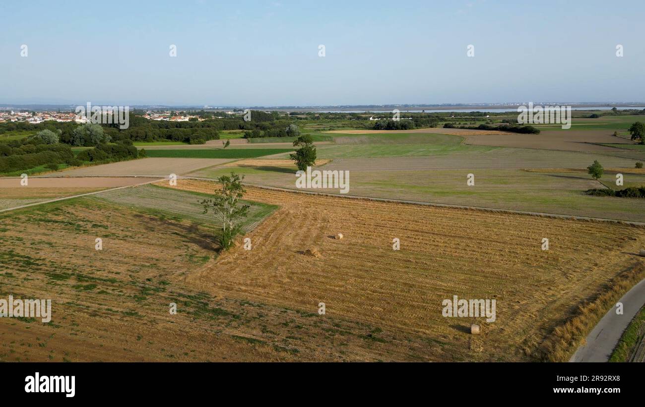 Aerial View of rural landscape near the Aveiro Lagoon at Murtosa ...