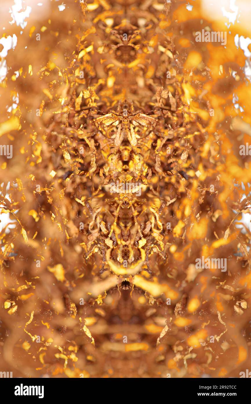 Double layer of brown rolling tobacco leaves lucky strike macro background stock photography ...
