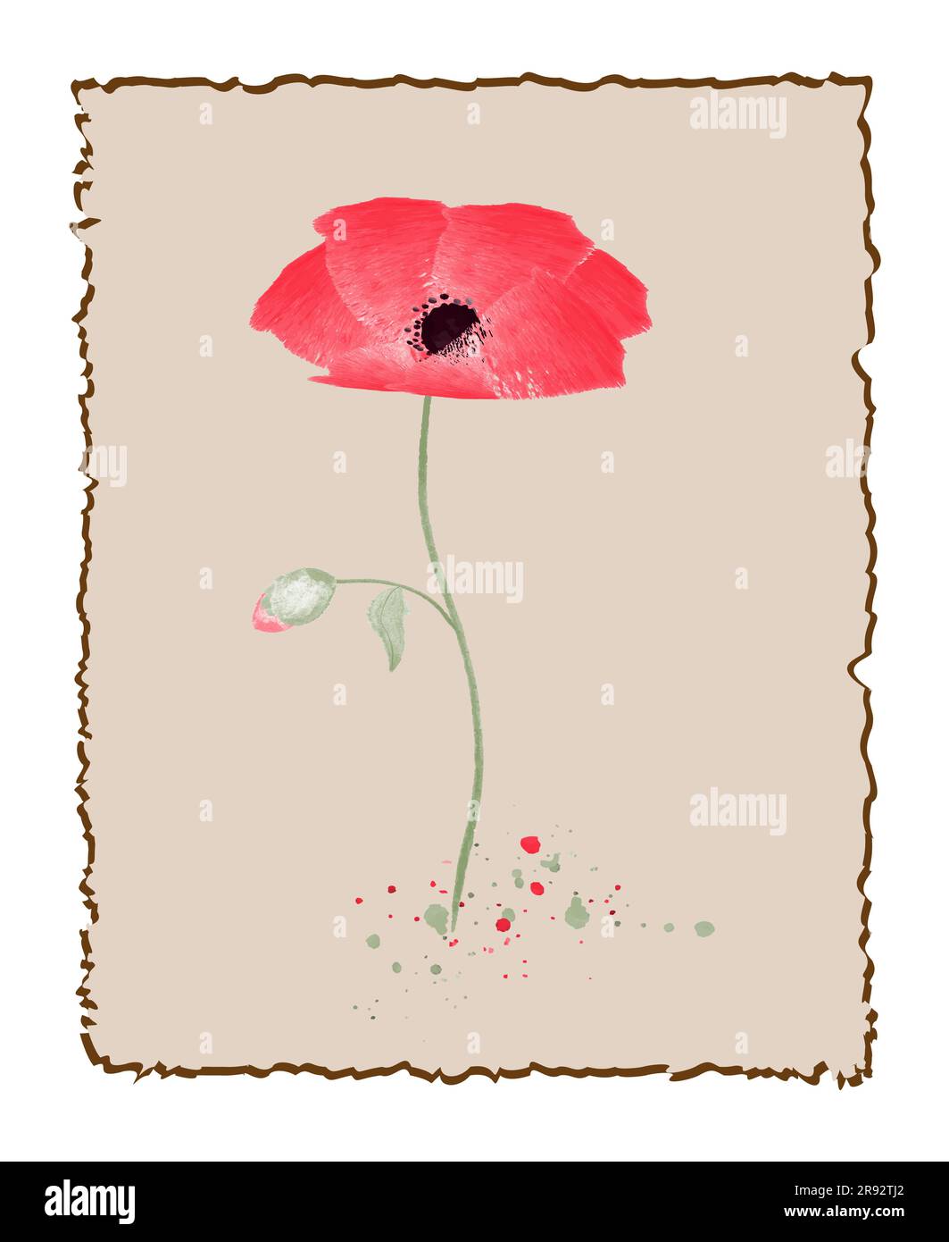 Poppy flower Watercolor design element Vector illustration Isolated on ...
