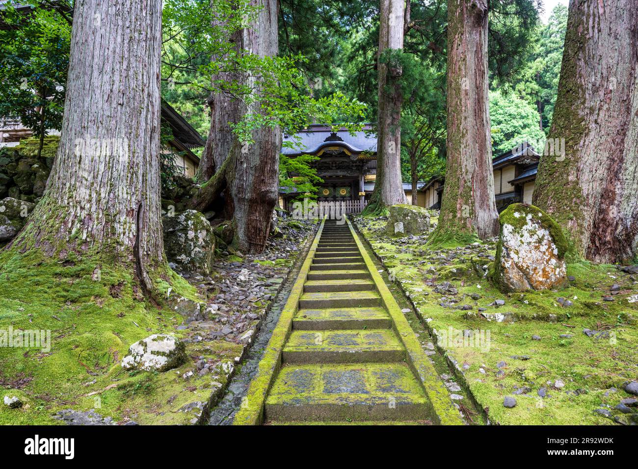 The magnificently tranquil grounds of ‎⁨Eihei-ji Temple in ⁨Fukui ...