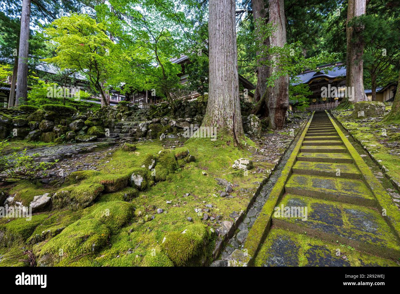 The magnificently tranquil grounds of ‎⁨Eihei-ji Temple in ⁨Fukui ...
