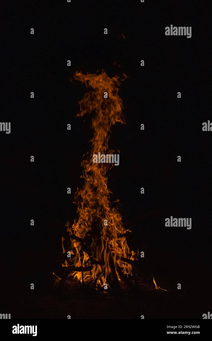 Campfire icon in forest hi-res stock photography and images - Alamy