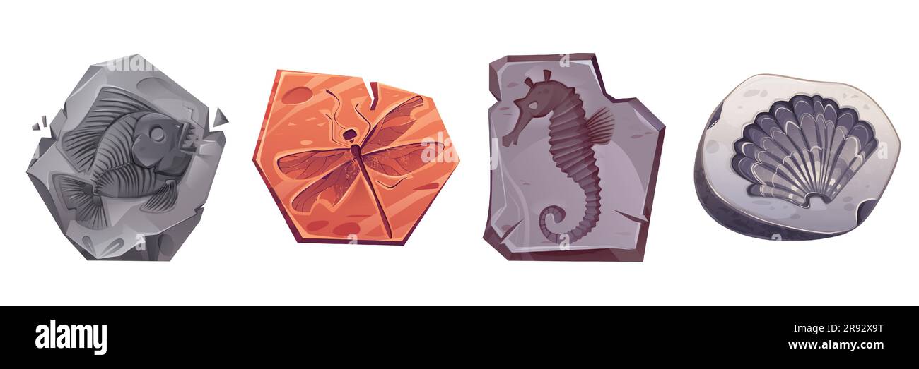 Fossil archaeology stone vector icon set. Sea animal and ancient ...