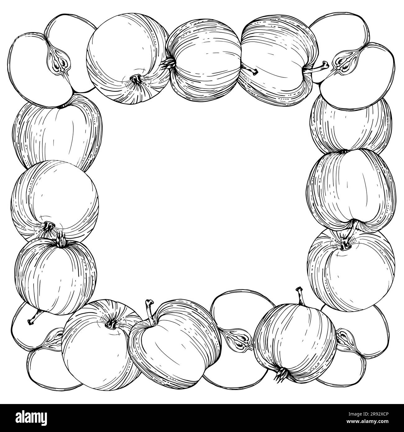 Hand drawn ink apple fruits, ripe full and slices, monochrome vector ...