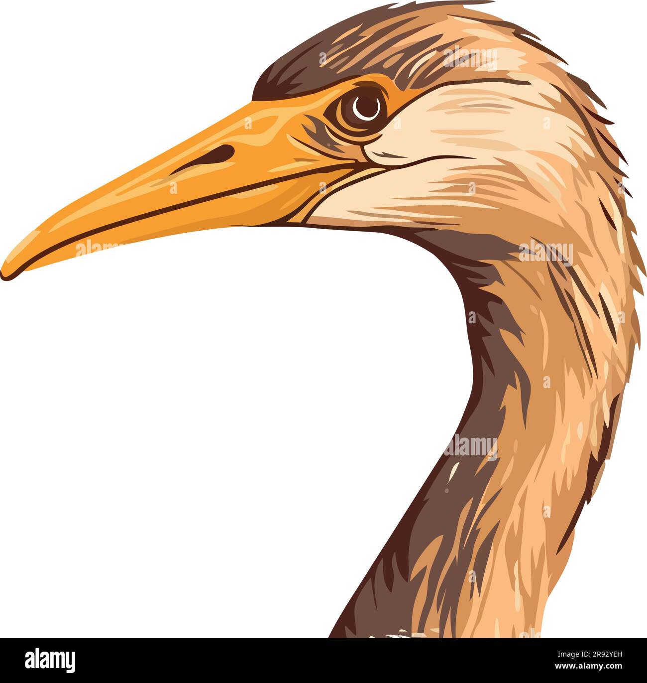 Smiling ostrich mascot head icon Stock Vector Image & Art - Alamy