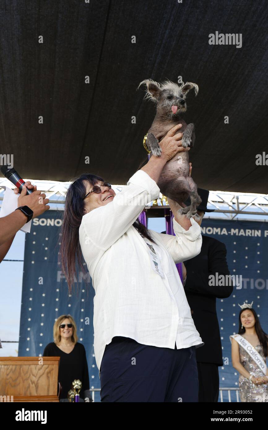World’s ugliest dog contest hi-res stock photography and images - Alamy