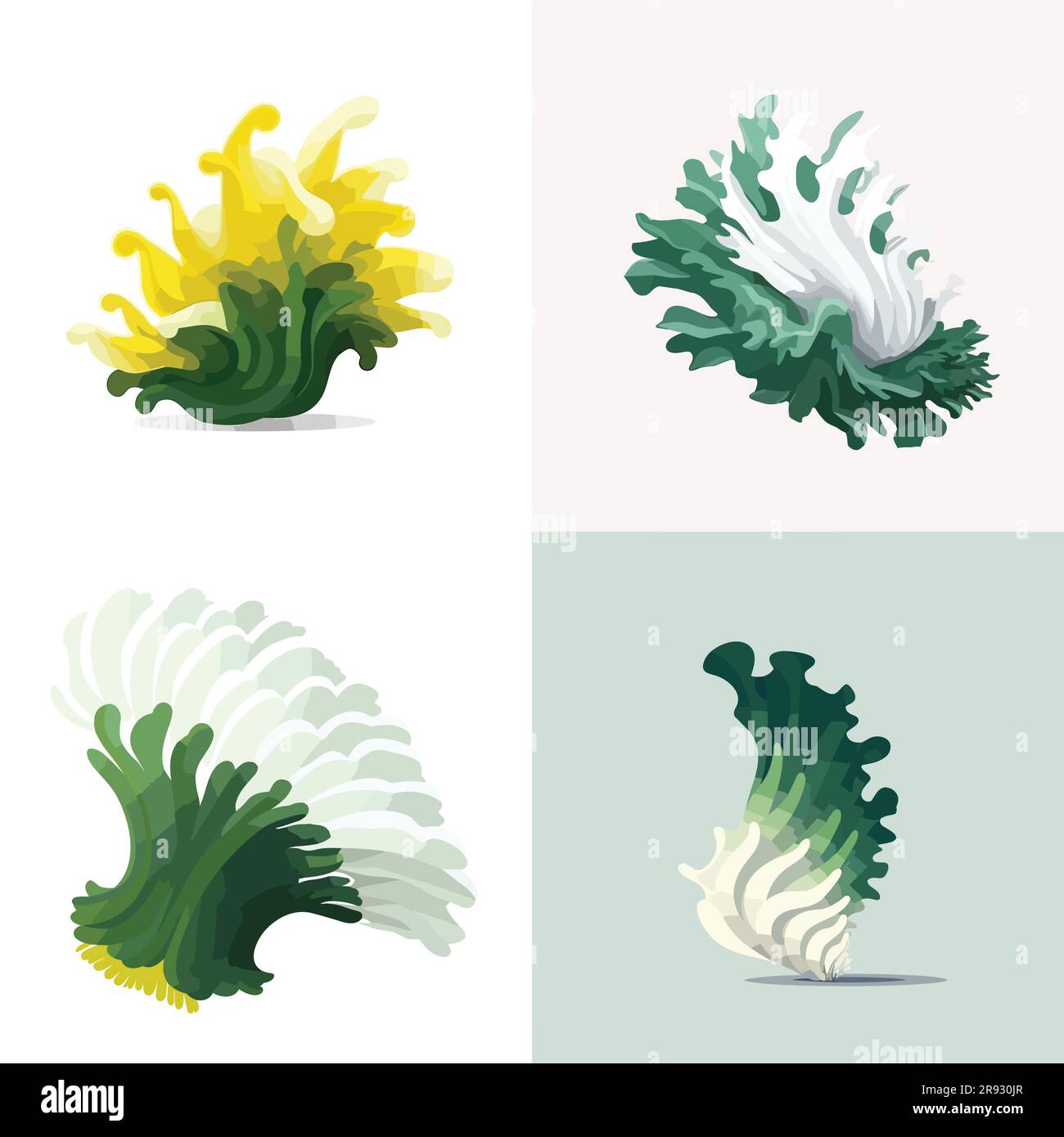 Sea slug Stock Vector Images - Alamy