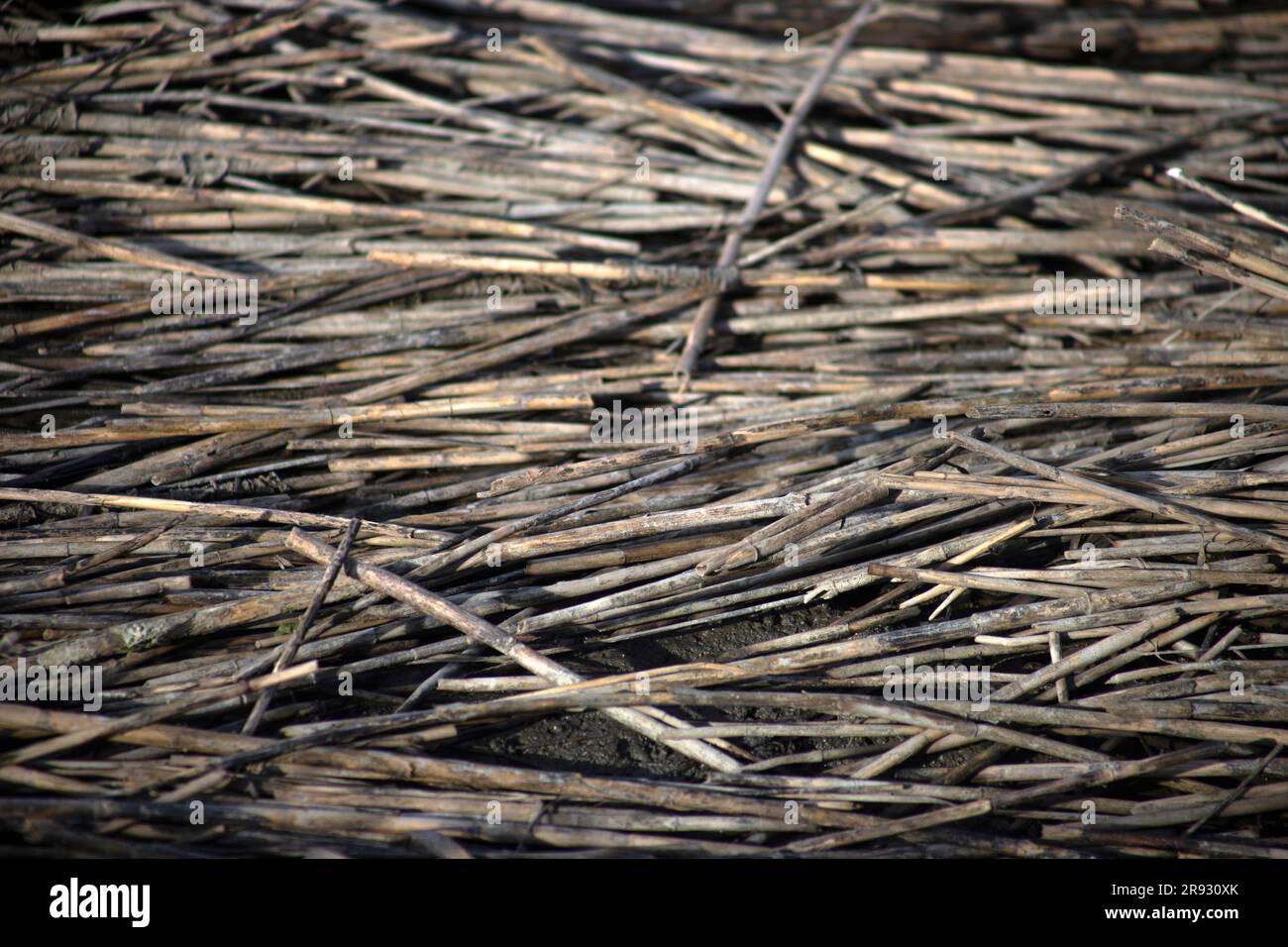 brown background, low water levels, reed twig jute outdoor rattan ...