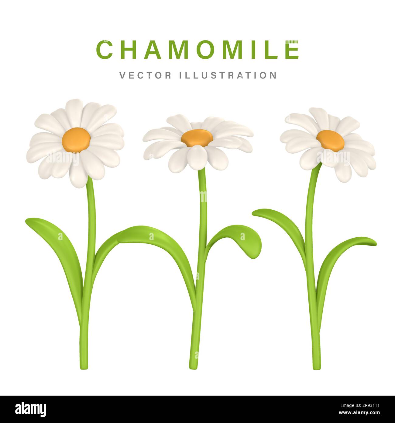 3D Cute colorful chamomile. Daisy flower in cartoon style. Vector ...