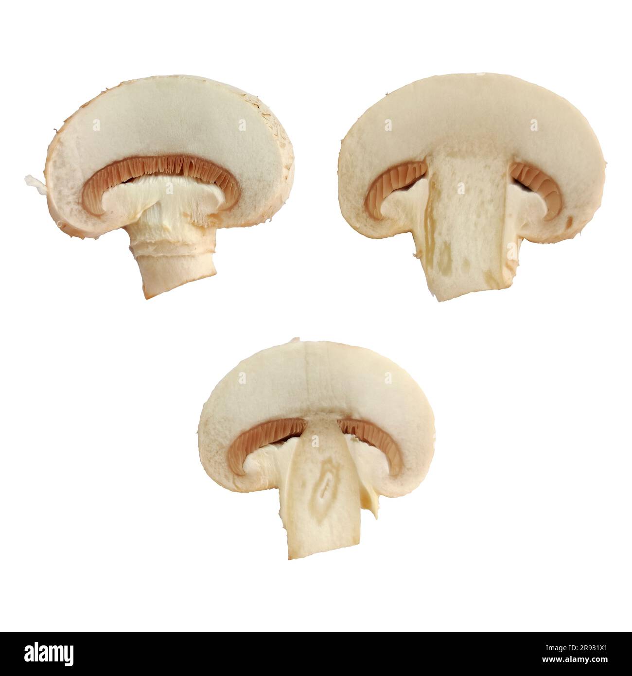 Champignon mushroom slice isolated set on white background macro photo ...