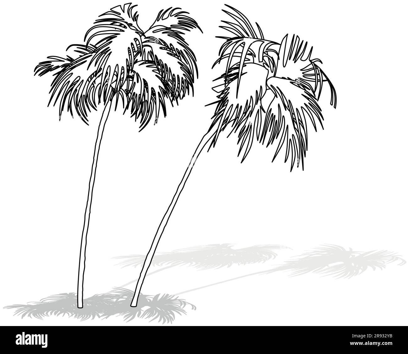 Tropical forest coloring book Black and White Stock Photos & Images - Alamy