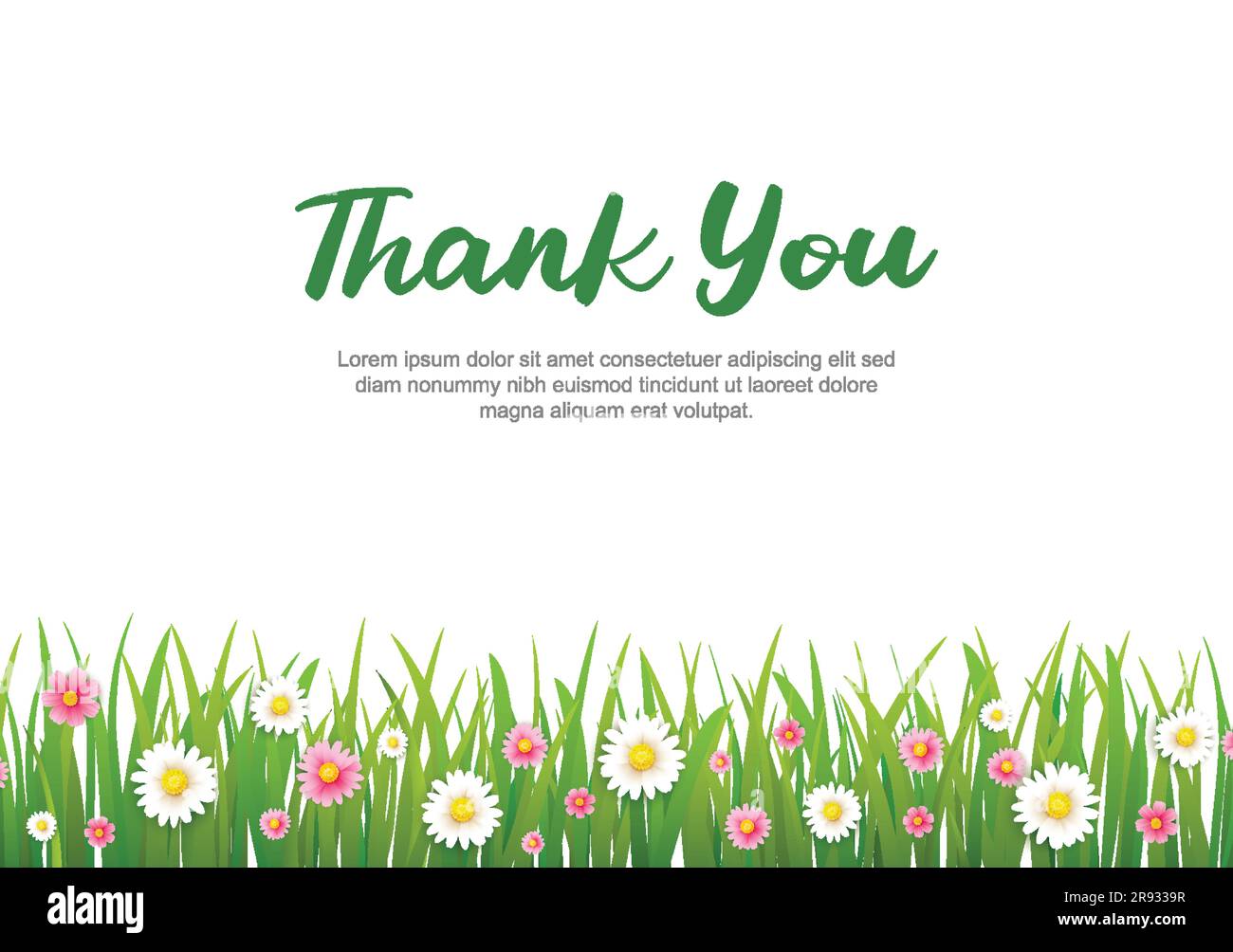 Thank you lettering greeting card. Thank you calligraphy handwritten card template background ...