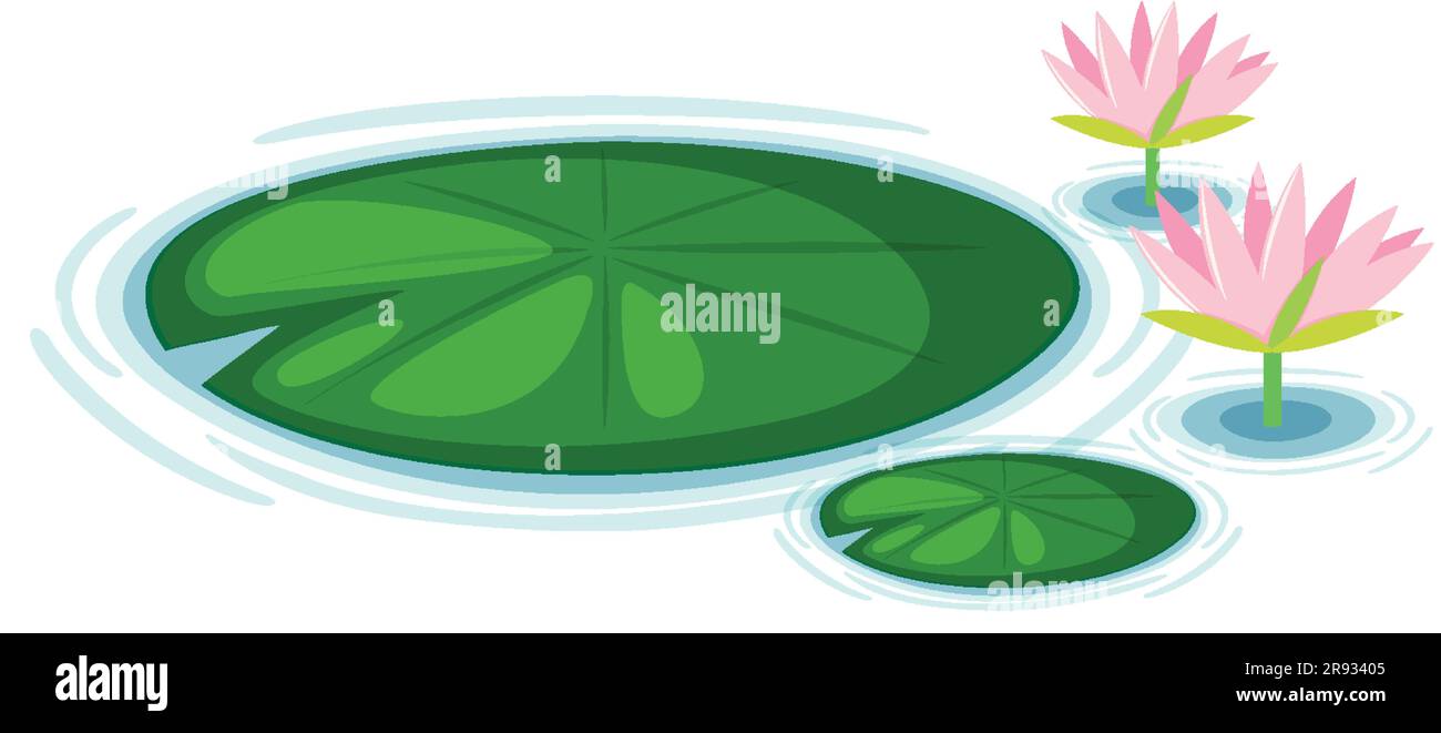 Water Lily Pads Vector illustration Stock Vector Image & Art - Alamy