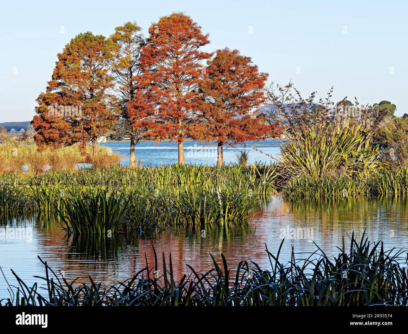 Ballarat Australia / The Swan Pool at Lake Wendouree. The santuries and ...
