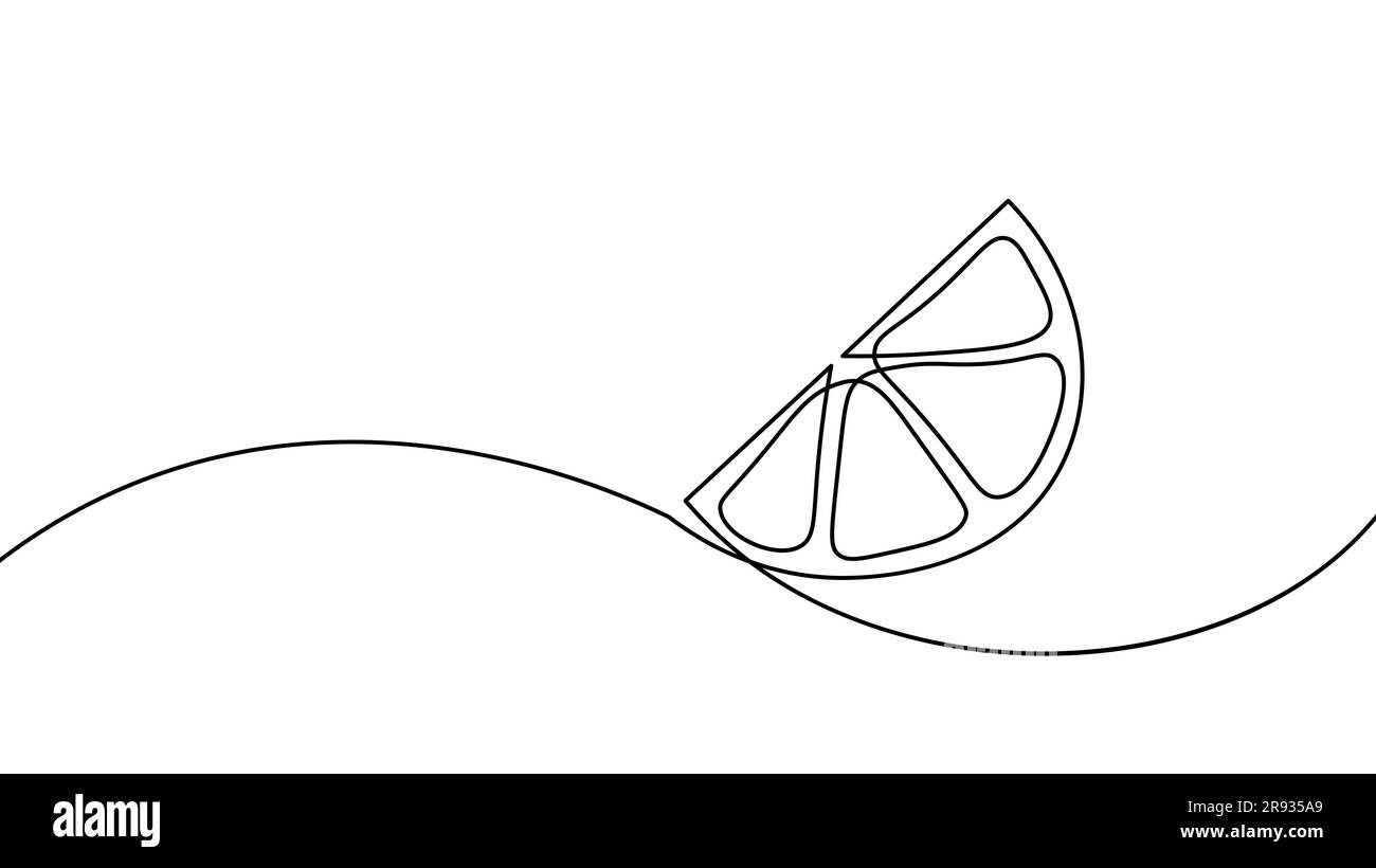 Lemon slice for lemonade fresh drink. Summer refreshment beverage one ...