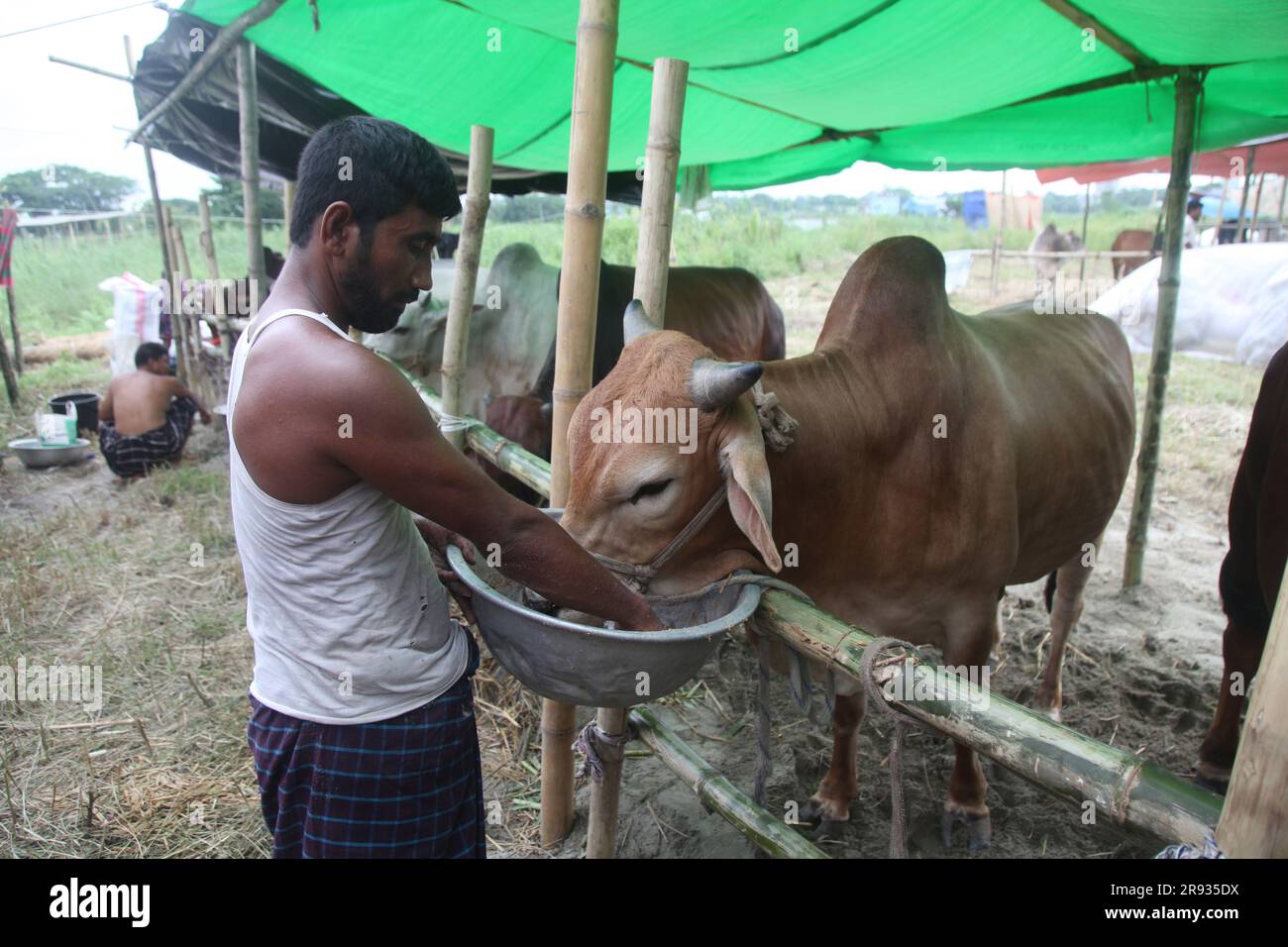 Dhaka bangladesh 0n 24jun2023.The biggest holy festival of Muslims Eid ...