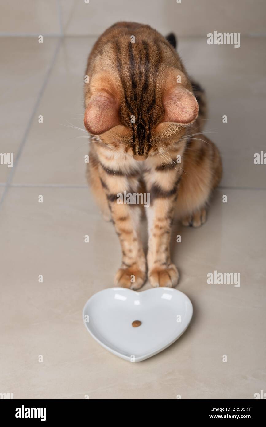 Hunger and inflation hi-res stock photography and images - Alamy