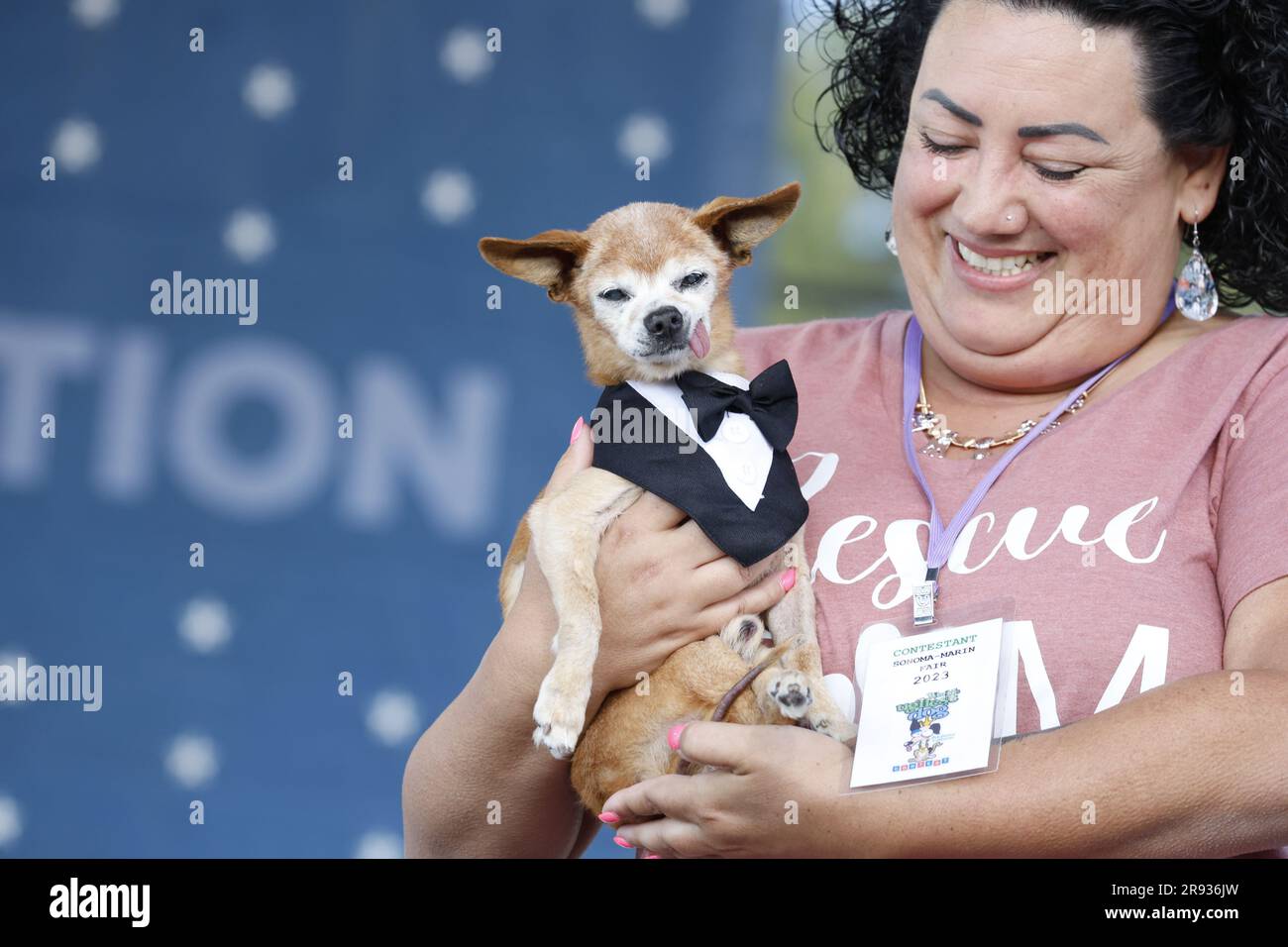 World’s ugliest dog contest hi-res stock photography and images - Alamy