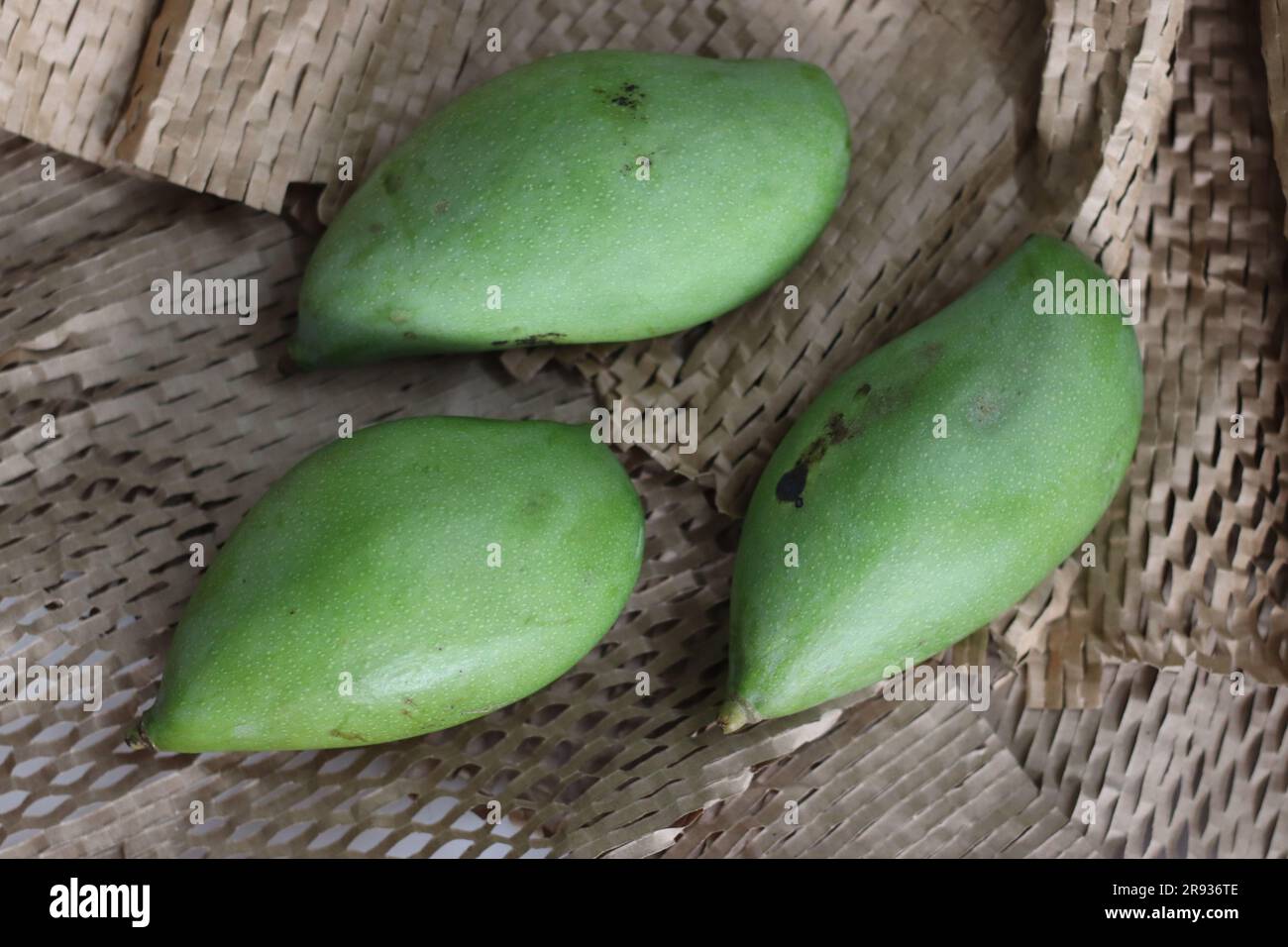 Totapuri raw mangoes or Magnifera indica. It is an oblong shaped mango ...