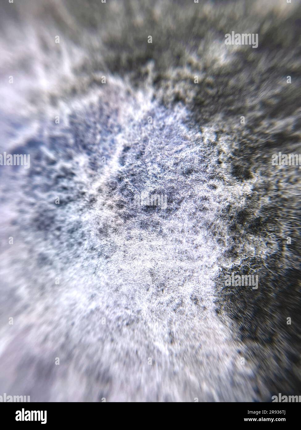 Granulation watercolour hi-res stock photography and images - Alamy