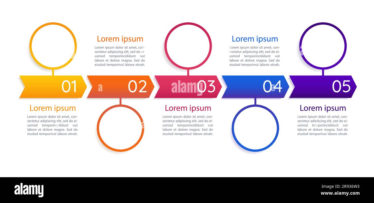 Business infographic chart design template Stock Vector Image & Art - Alamy