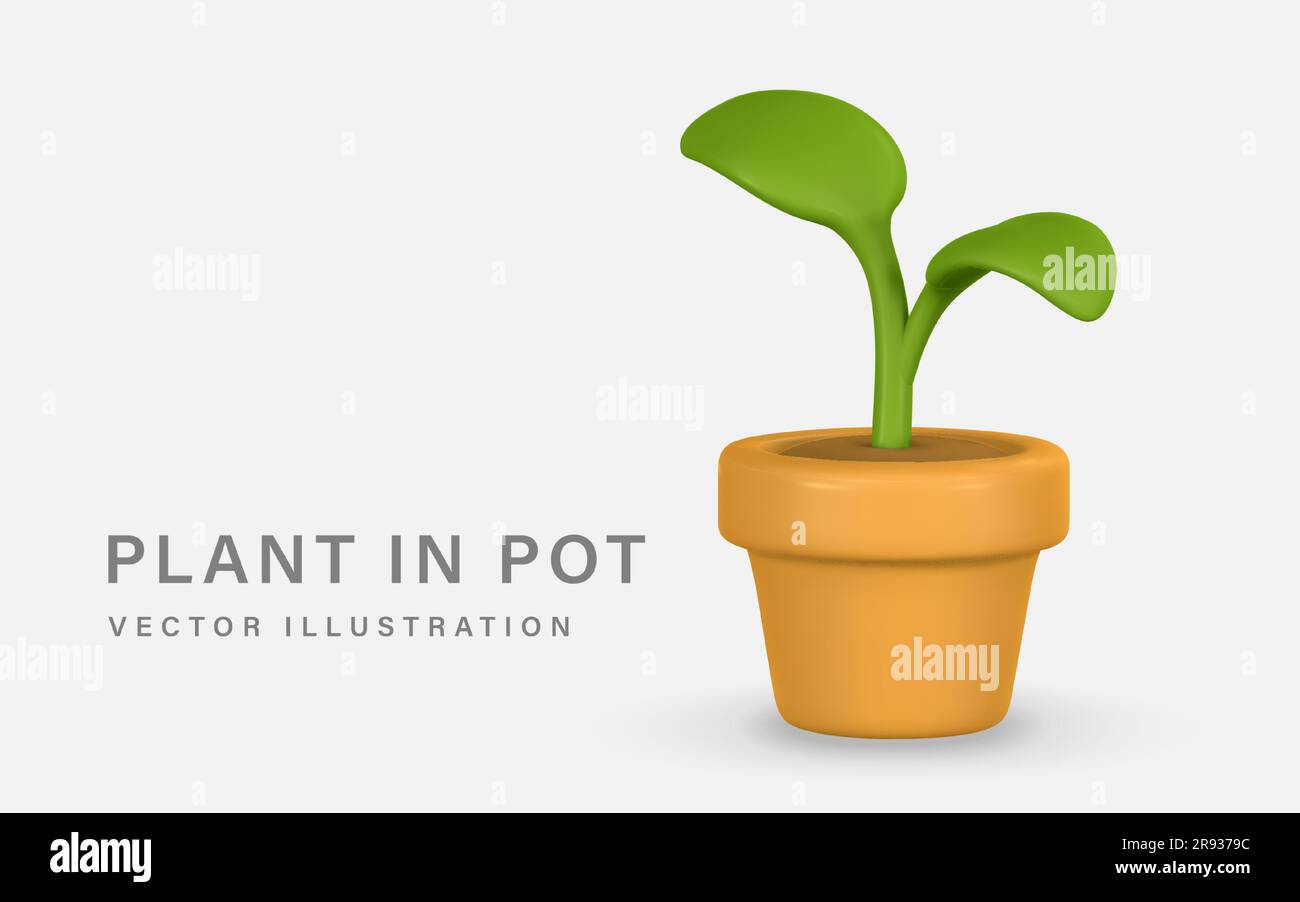 3d realistic cute green plant in pot in cartoon style isolated on light ...
