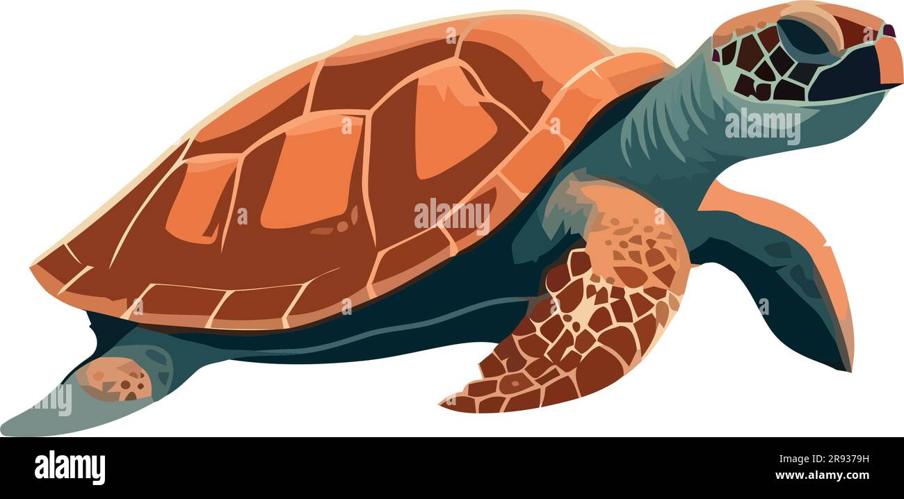 Slow swimming sea turtle over white Stock Vector Image & Art - Alamy