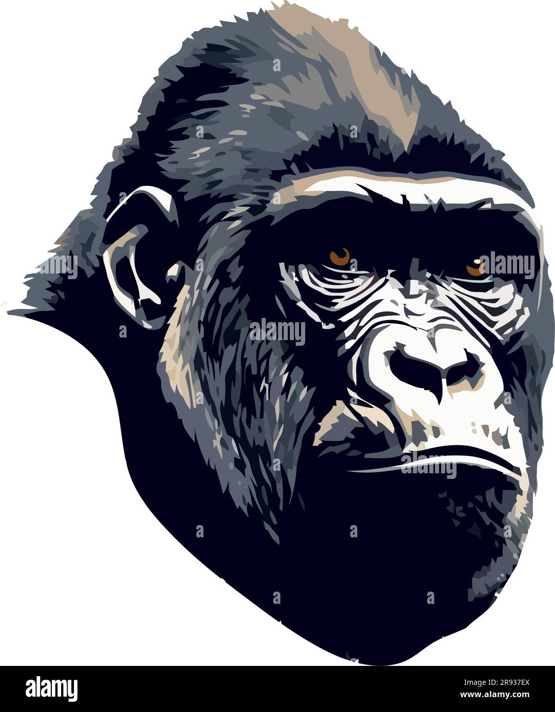 Smiling gorilla sign hi-res stock photography and images - Alamy