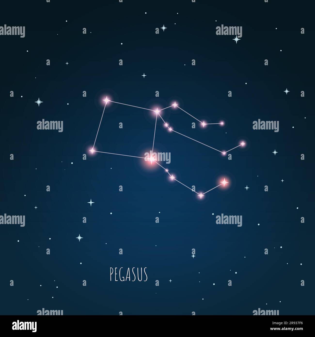 Constellation Pegasus scheme in starry sky Space Stock Vector Image ...