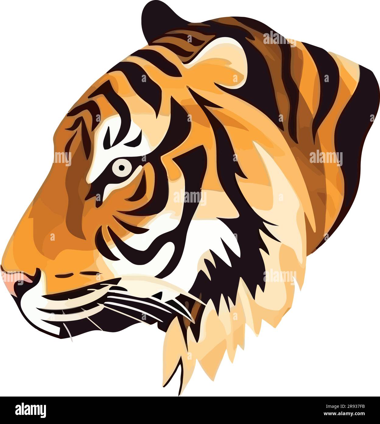Aggressive Bengal tiger over white Stock Vector Image & Art - Alamy