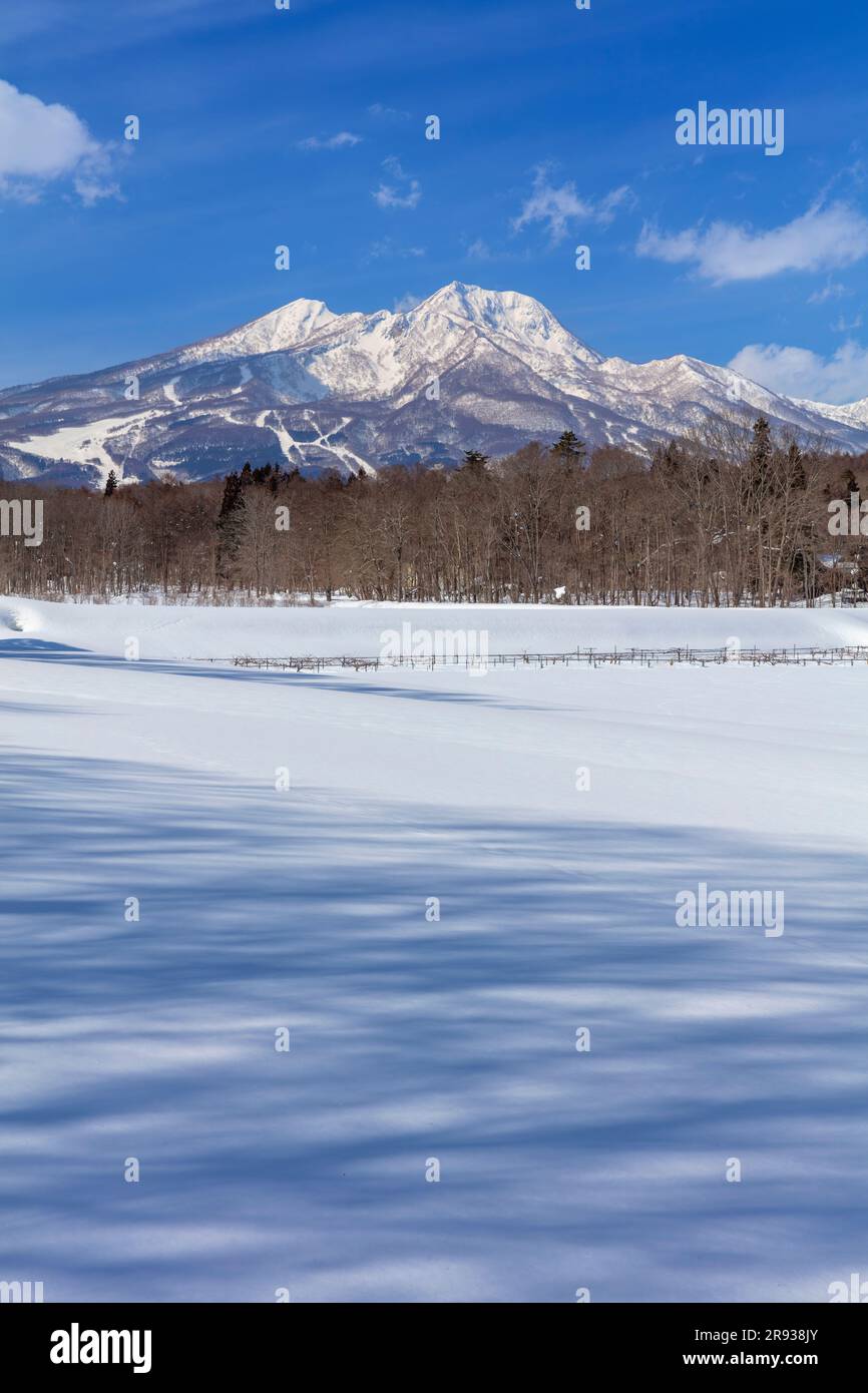Snowfield and Mt. Myoko Stock Photo - Alamy
