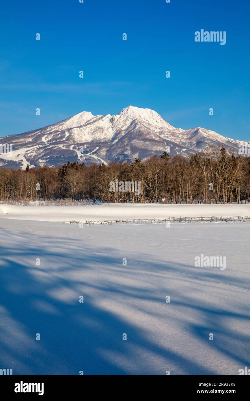 Snowfield and Mt. Myoko Stock Photo - Alamy