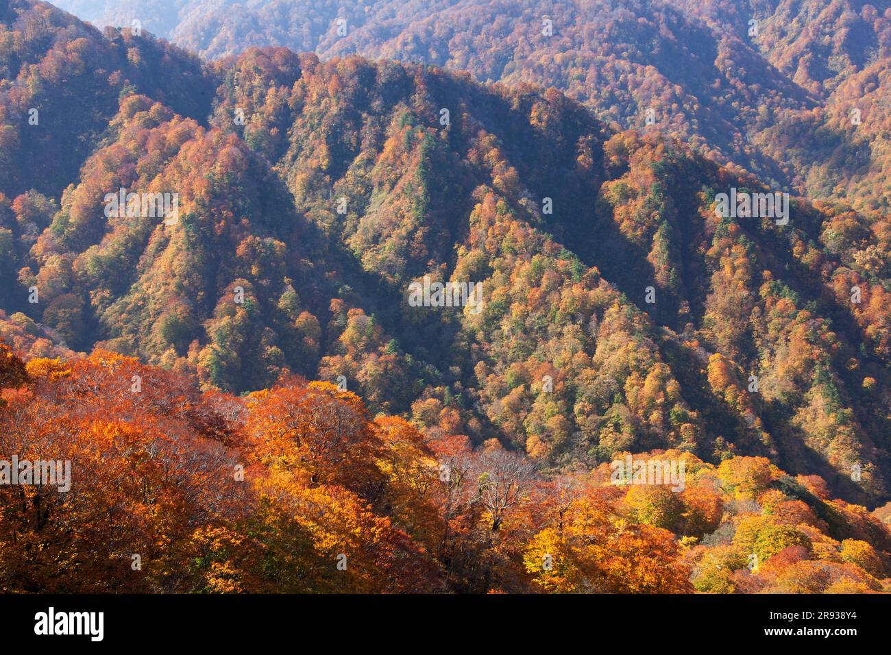 Shirakami tengu mountain hi-res stock photography and images - Alamy