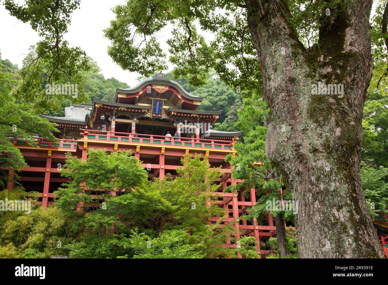 Yutoku Inari Shrine Stock Photo - Alamy