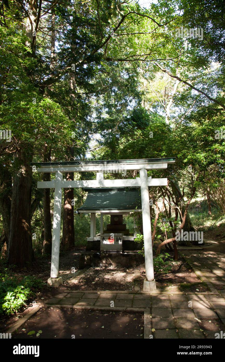Hakone Hakuryu Shrine Stock Photo - Alamy
