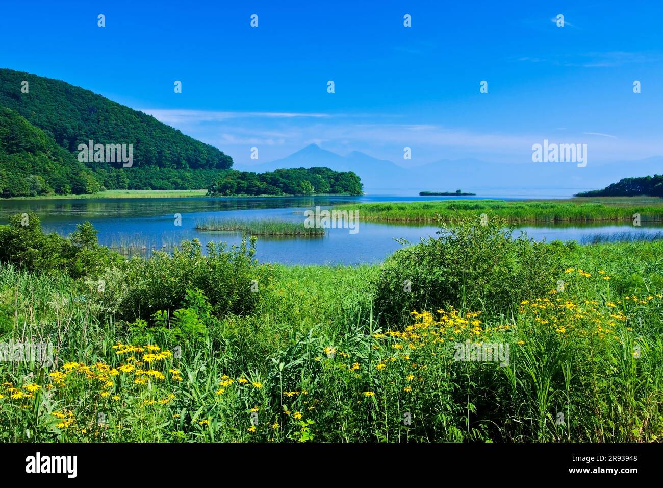 Oninuma, Lake Inawashiro and Mt Bandai Stock Photo - Alamy
