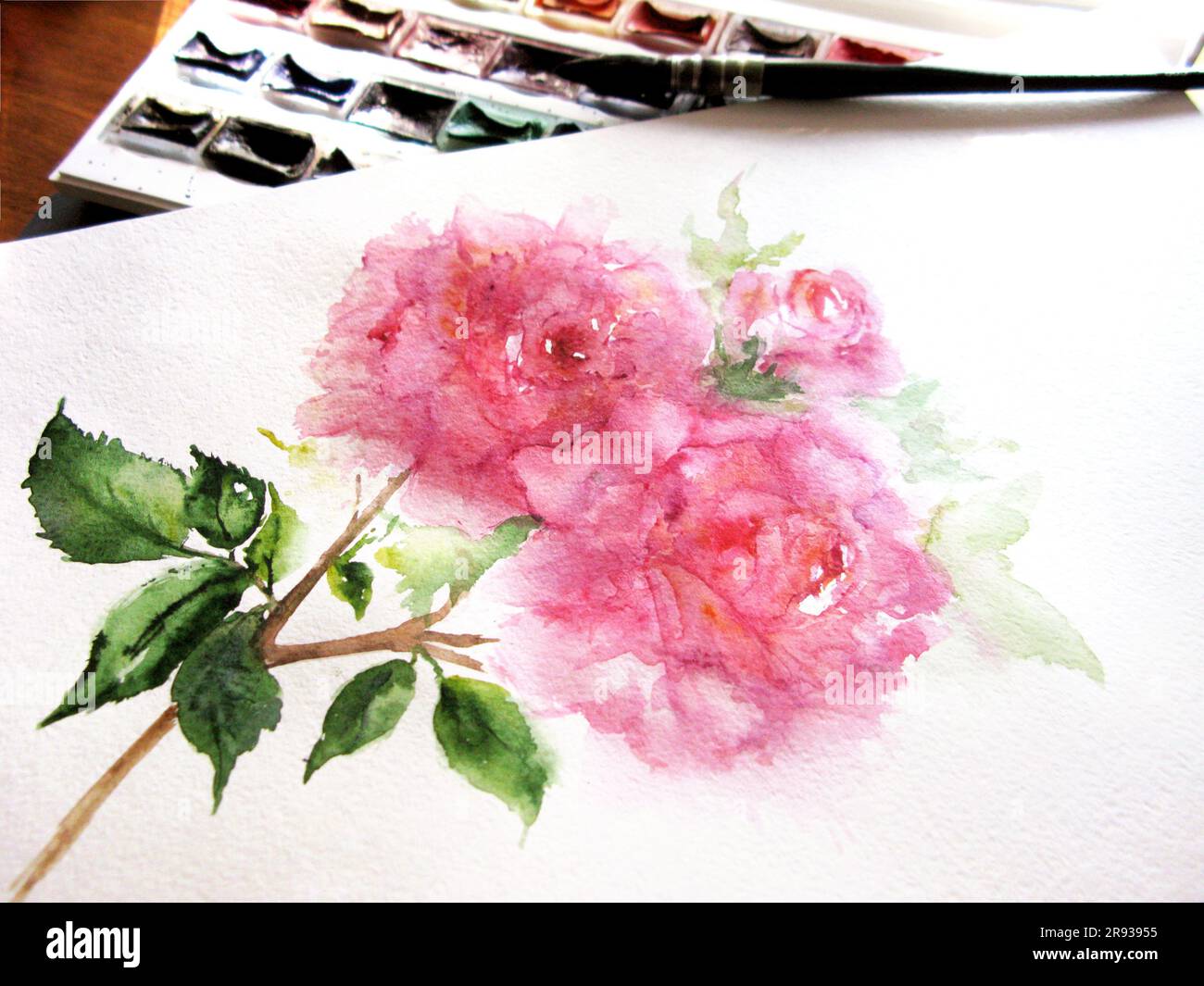 Watercolor pink flower peony rose floral composition plant paint ...